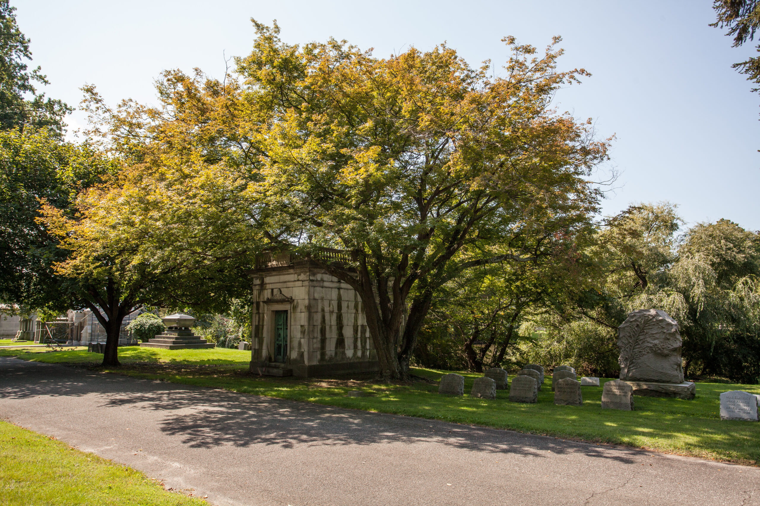 81-TREE | Woodlawn Cemetery • Crematory • Conservancy